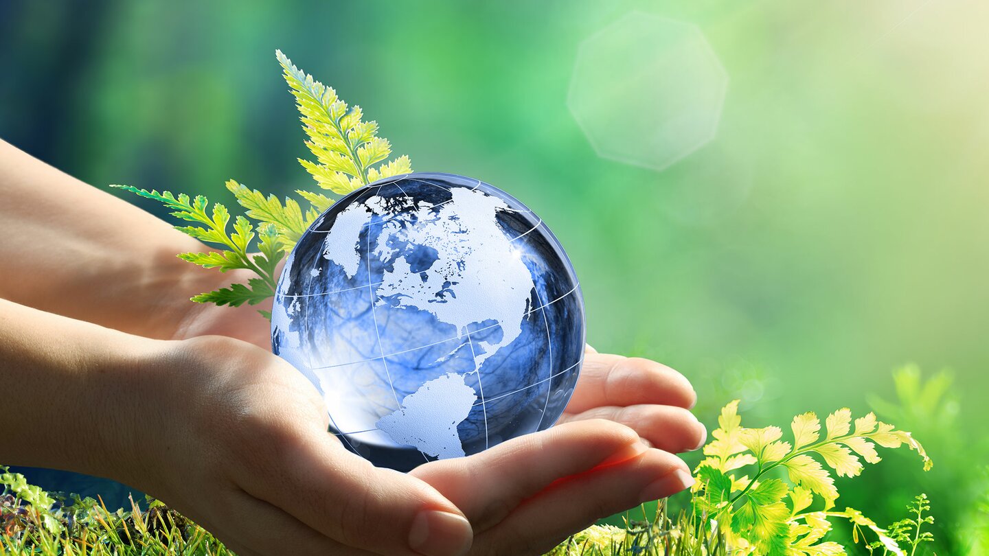 News & Media | Cartonplast Group GmbH